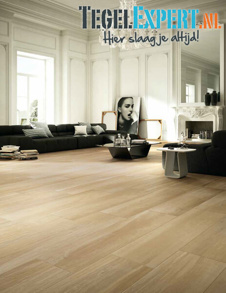 Castelvetro Aequa Silva - TegelExpert.nl